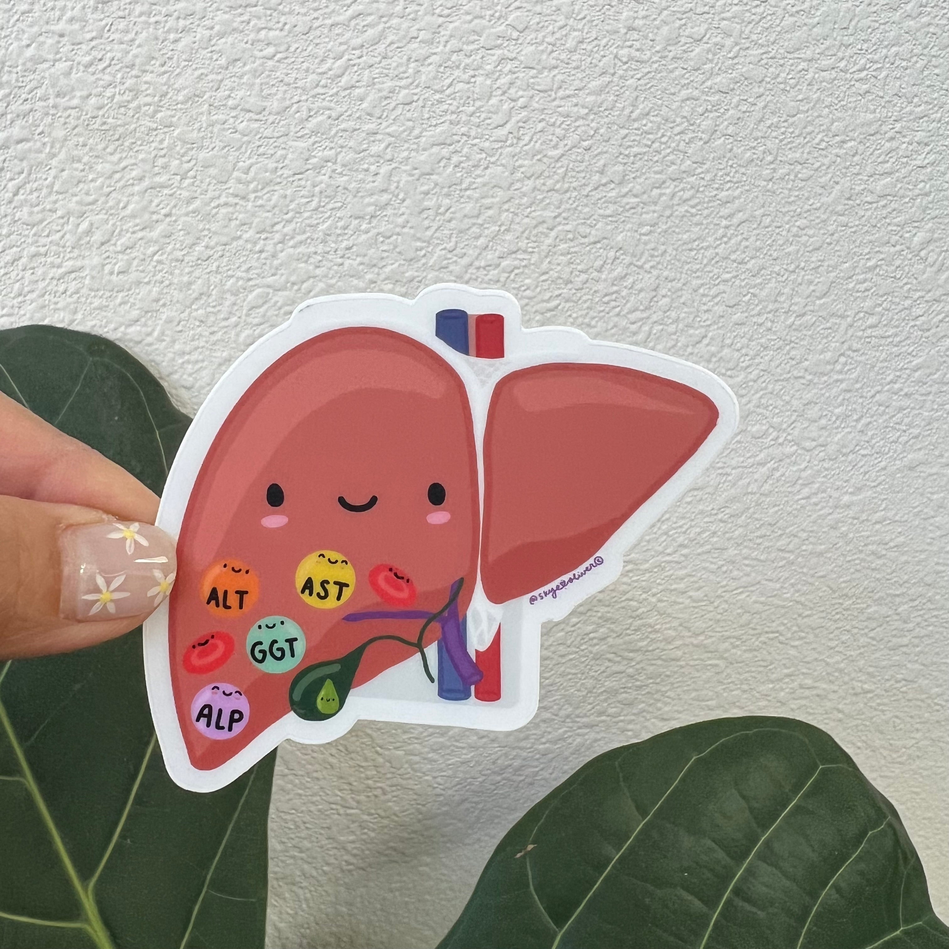 LIVER Sticker – Skye and Oliver
